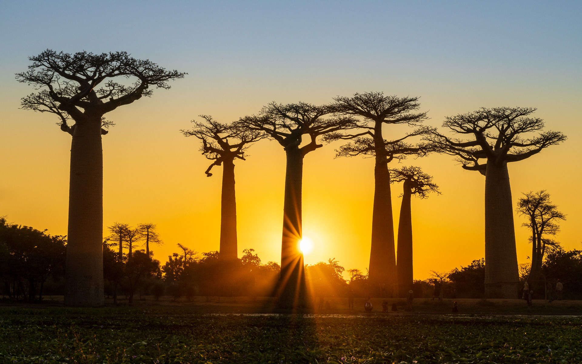 Madagascar - Sweet Light Photos